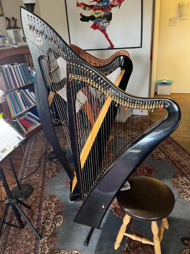 Harp Lessons for Beginners - Harp Lessons - Online, Chicago ...